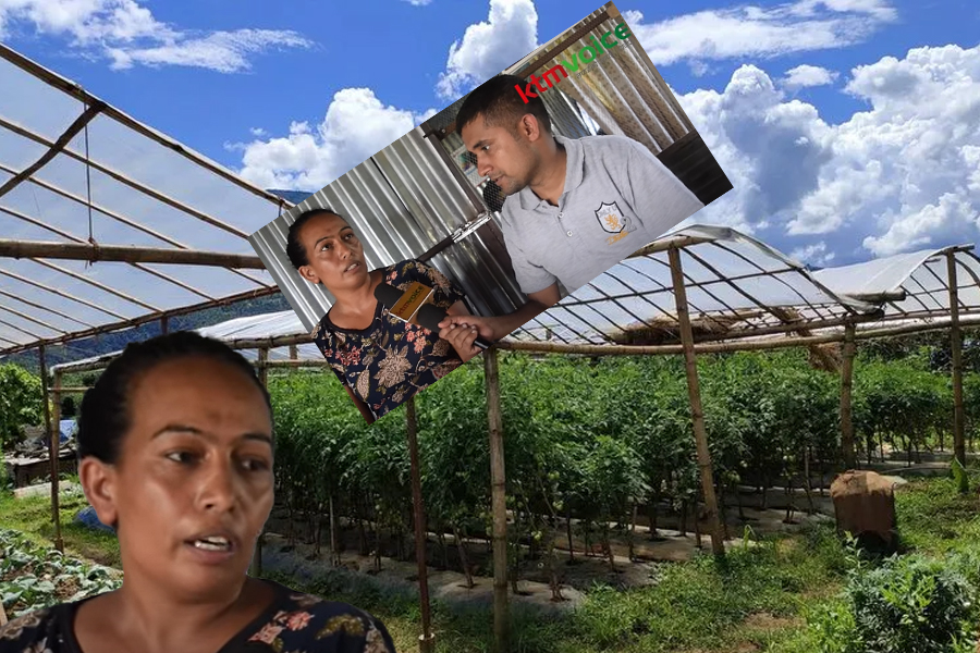 भिडियो स्टोरी : विनिताको कृषि कर्म - ktmvoice