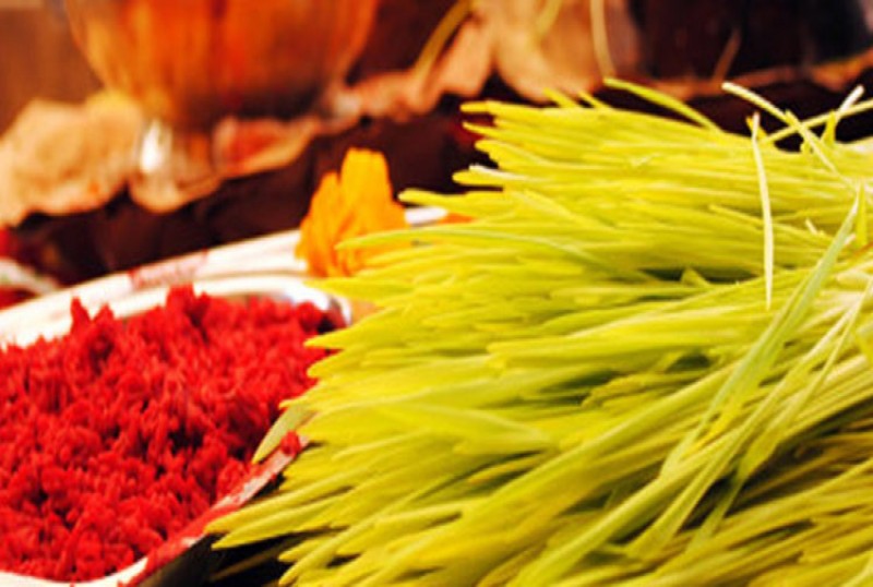 अनिष्टको खतराले जमरा राख्दैनन् माझी समुदाय - ktmvoice